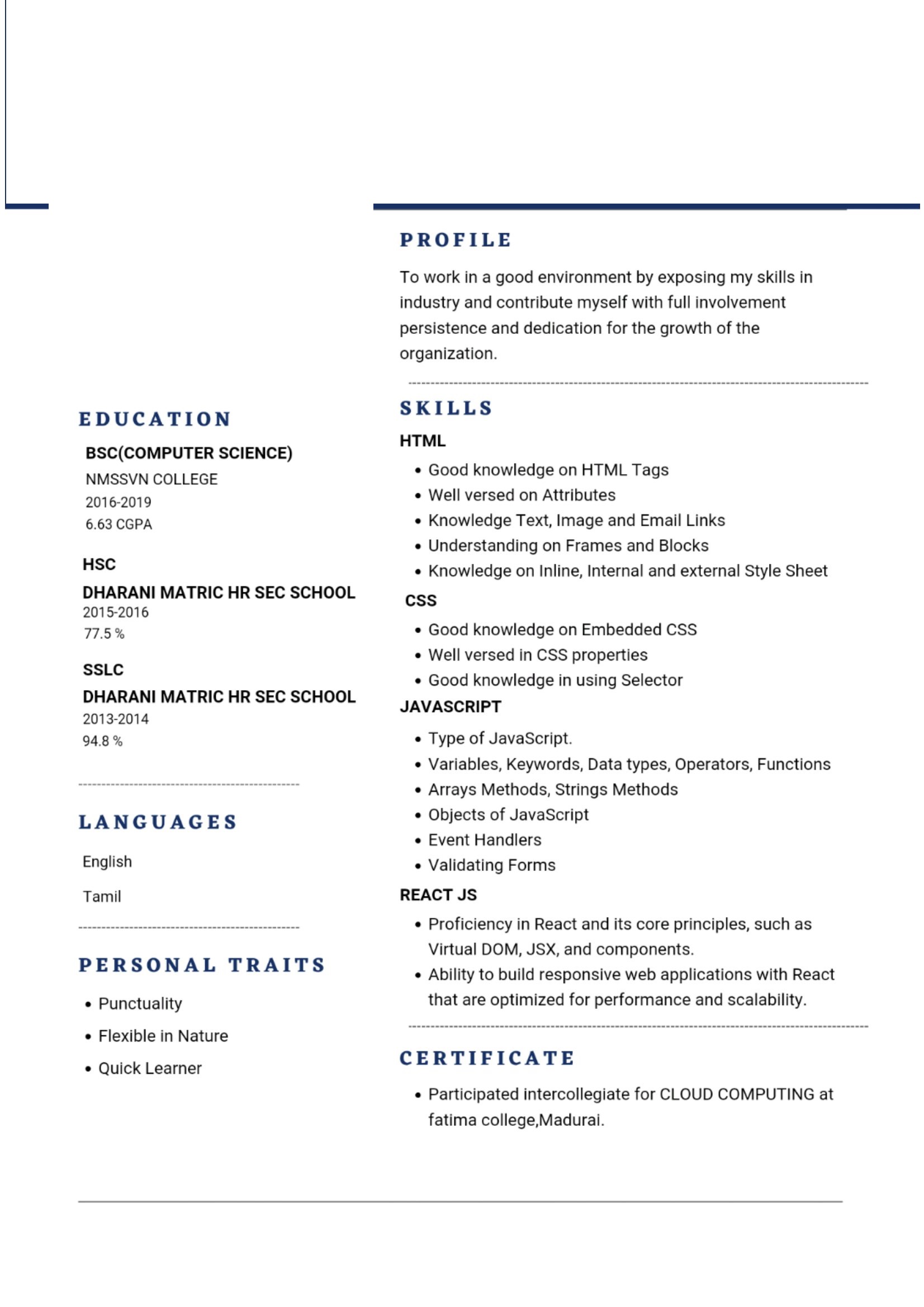 11620 – Web Developer – Srisattva Group