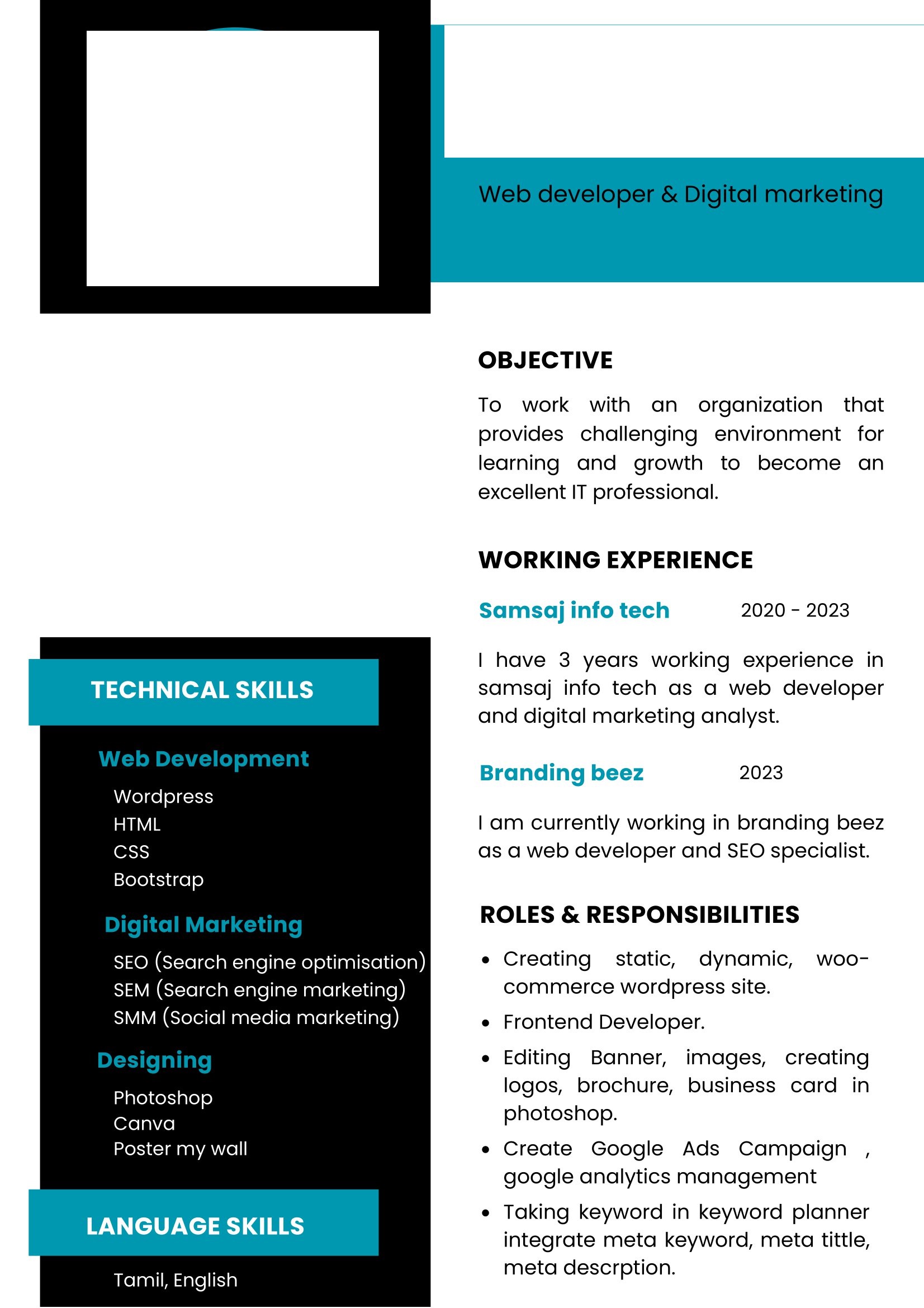 3354 – Web developer – Srisattva Group