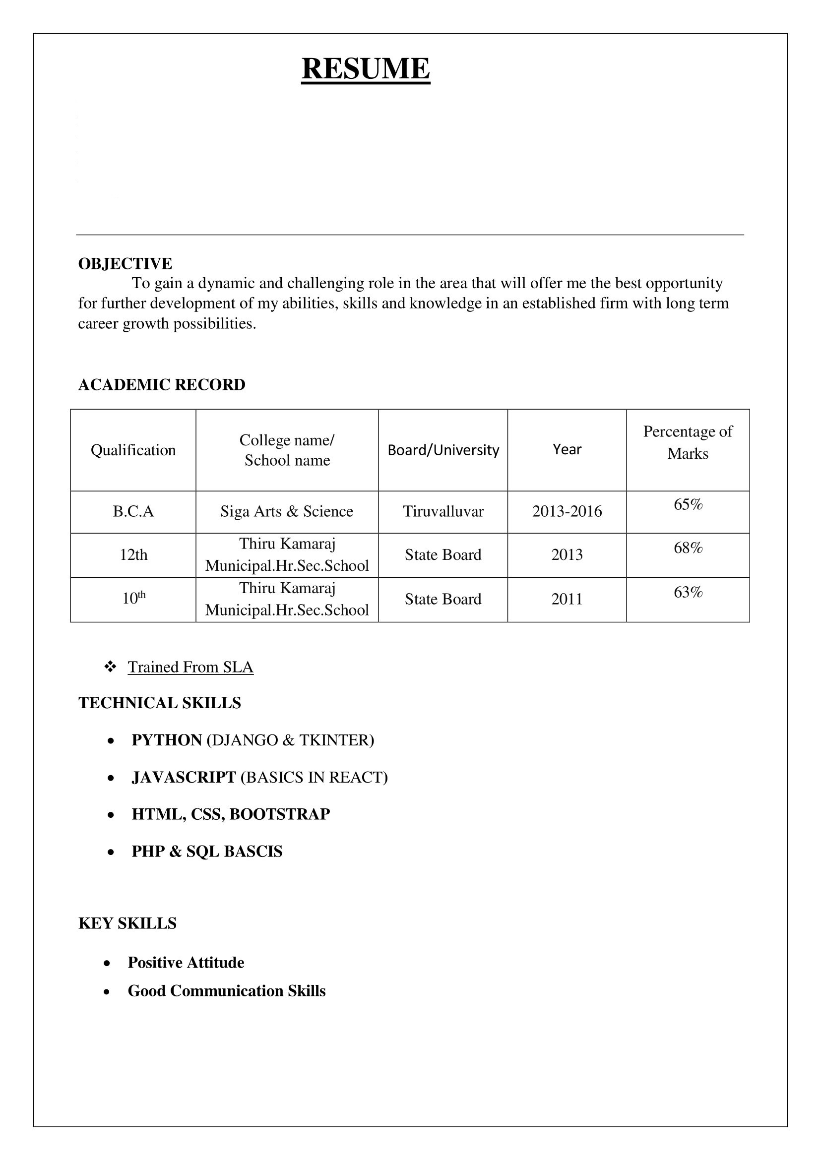 4100-Wordpress Developer – Srisattva Group